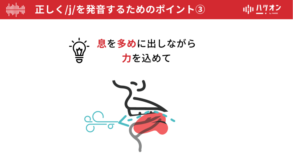 英語「W」と「J」の発音のコツ | /w//j/ | 発音専門のオンライン英語コーチング ハツオン