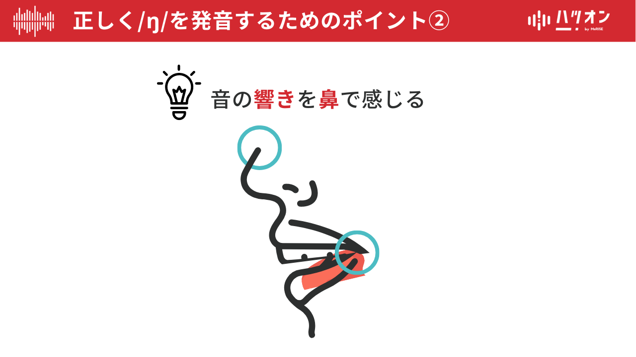英語「M」「N」「NG」の発音のコツ |/m//n//ŋ/ | 発音専門のオンライン英語コーチング ハツオン