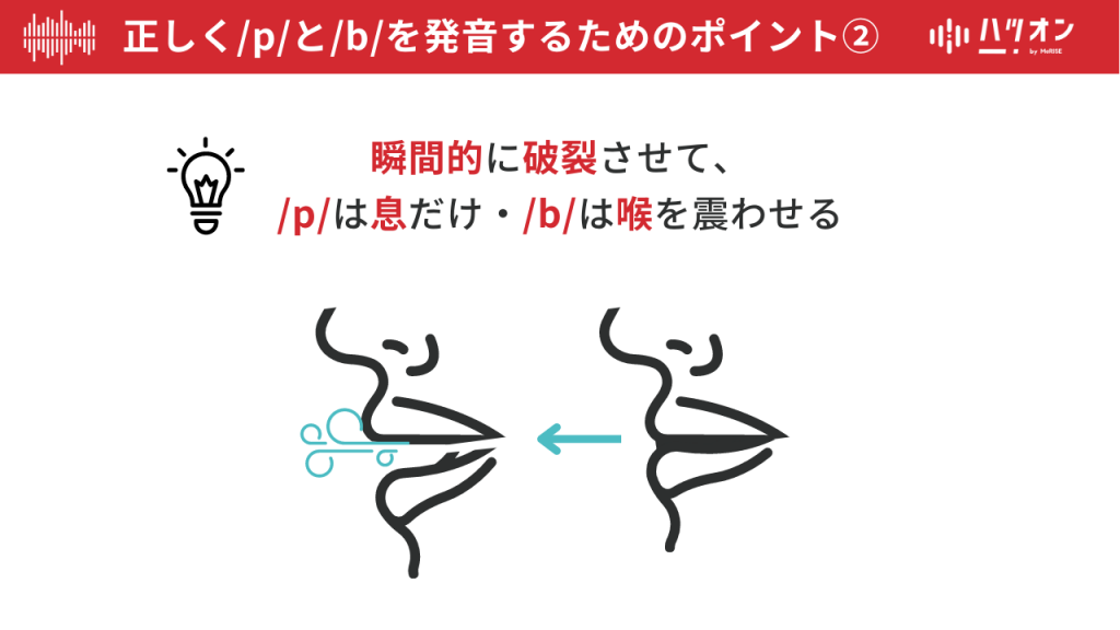 英語「P」と「B」の発音のコツ | /p//b/ | 発音専門のオンライン英語コーチング ハツオン