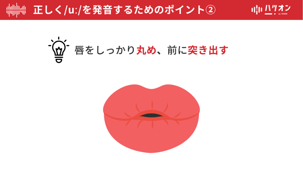 英語「U」の発音のコツ | /uː//ʊ/ | 発音専門のオンライン英語コーチング ハツオン